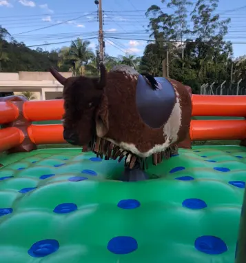 TOURO MECÂNICO - jlmdiversao.com.br